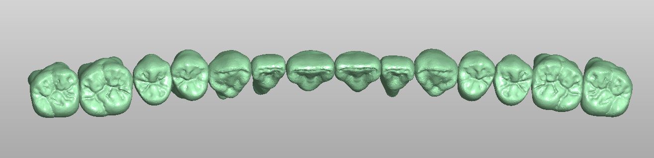 Dentalligent.store | STL-FILES - 28 root teeth individually in full ...